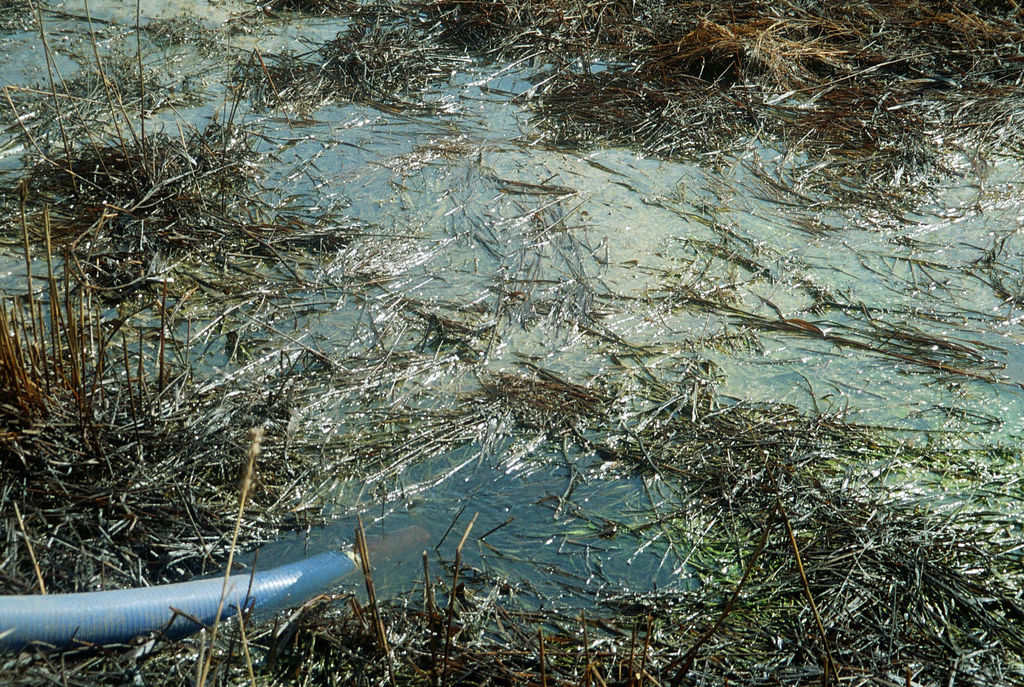 Деструктор нефти, биоактиватор Гидробрейк Пауэр HYDROBREAK POWER, цена ...